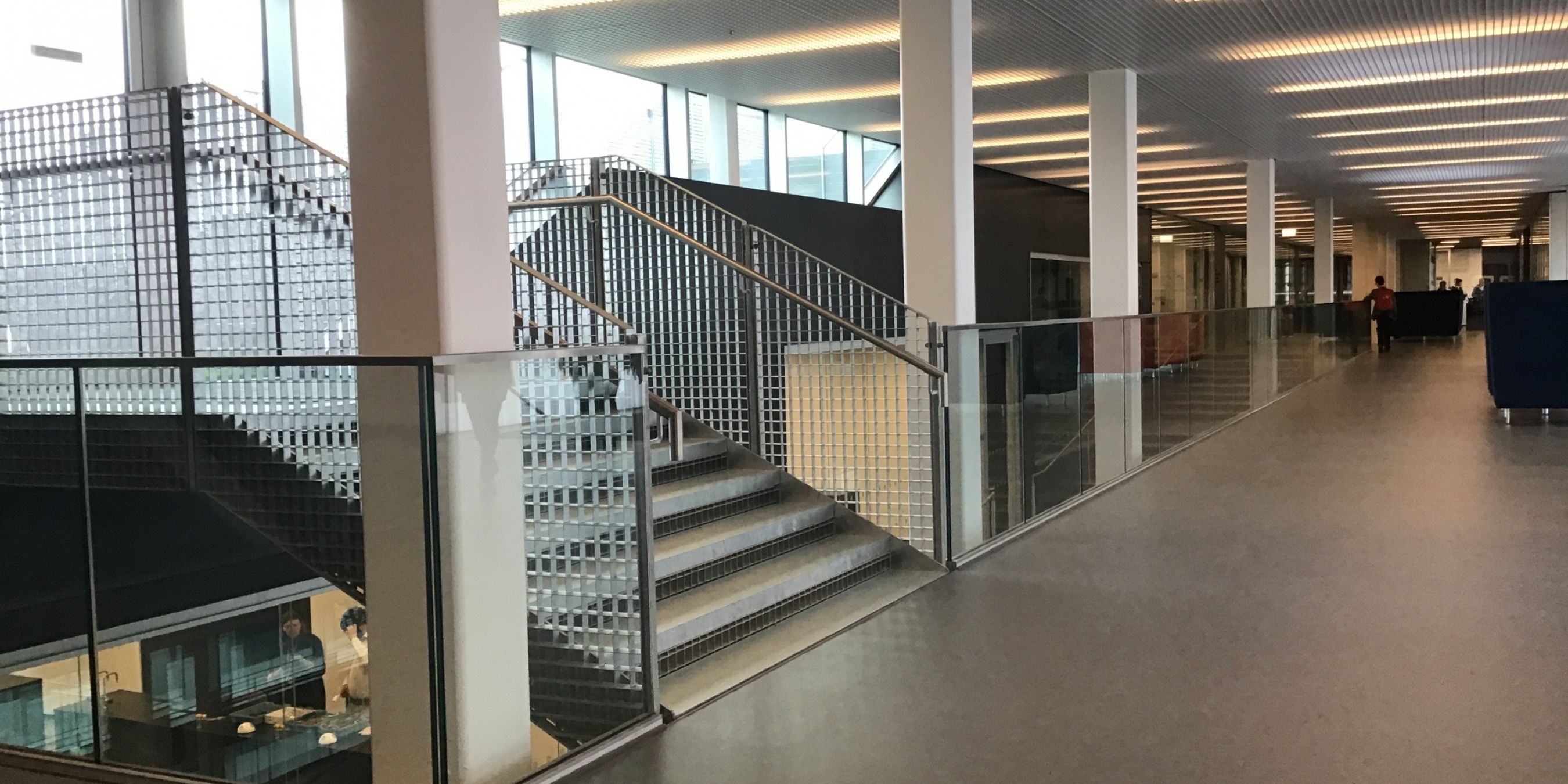 Project | Brighton College - The School of Science and Sports